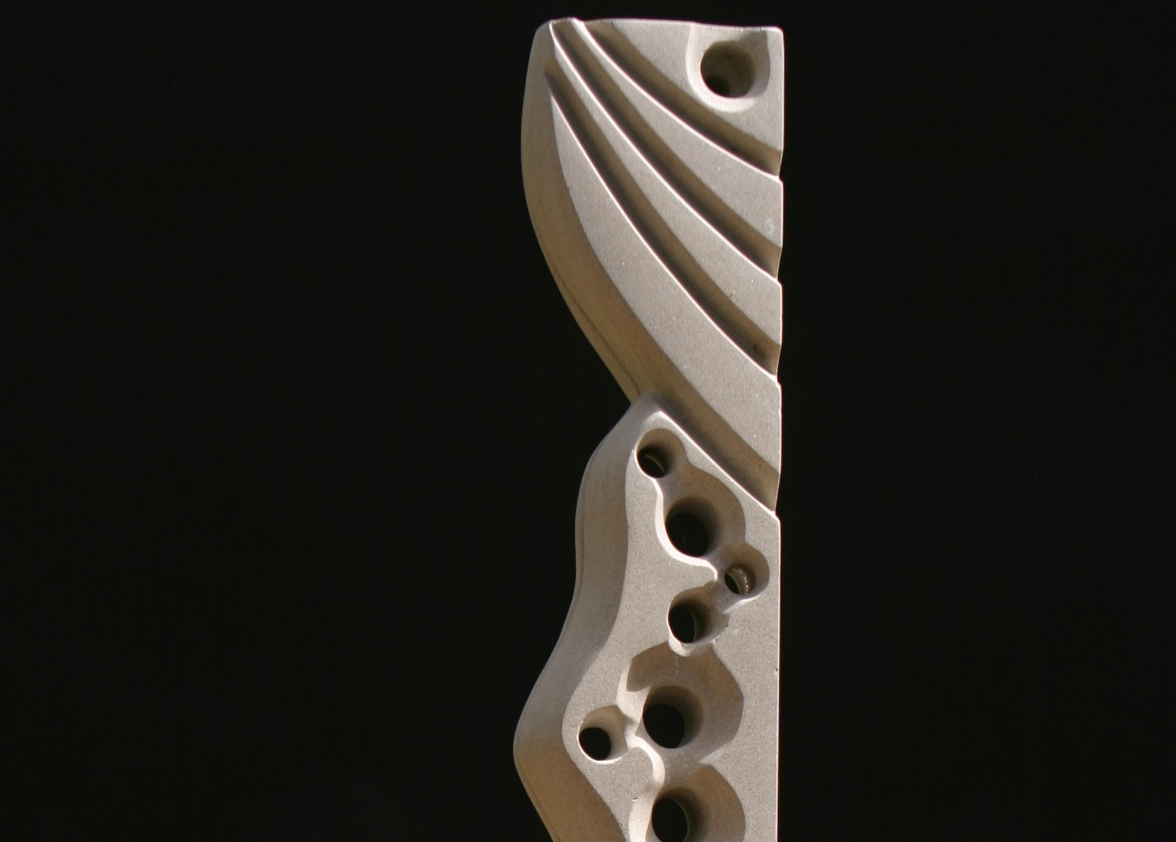 Lizard | Ralph Steven Greco